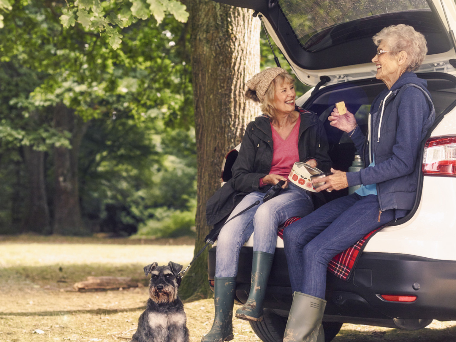 Fiat Dealers Near You | New & Used Fiat Dealership Near You